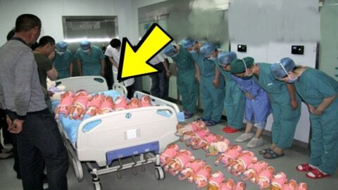 This Pregnancy Broke All Records Which Even Doctors Did Not Believe ...